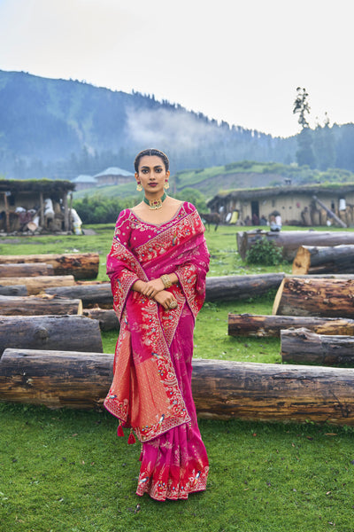 Traditional Red Rani Pure Dola Silk Saree with Embroidery and Patchwor ...